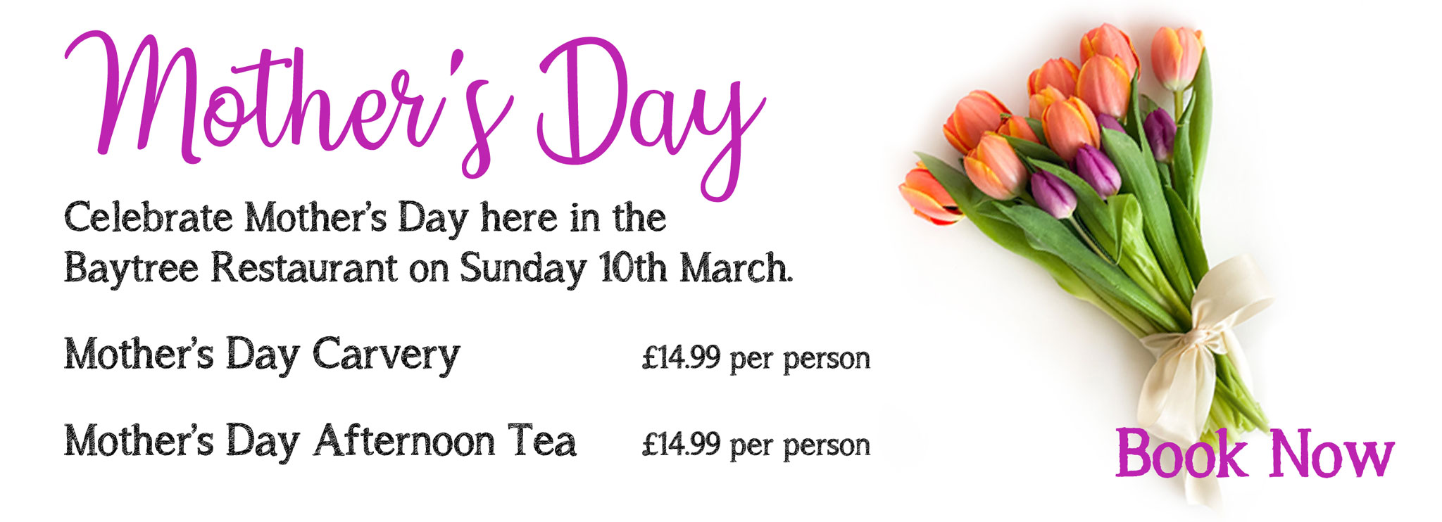 Baytree Garden Centre